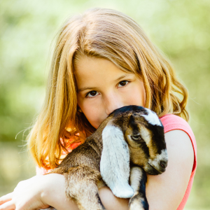 Urlaub auf dem Bauernhof - Was Kinder im Umgang mit Tieren lernen ...